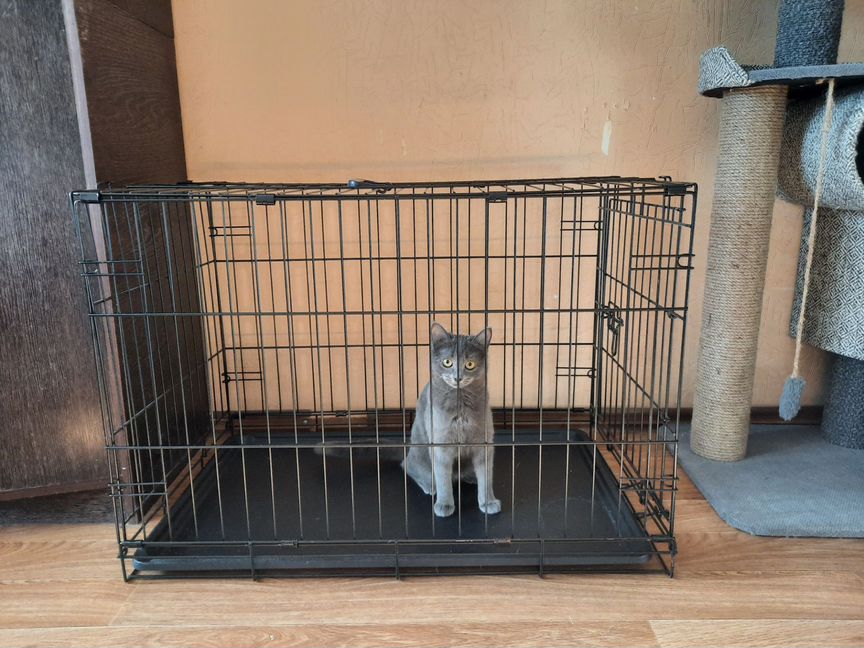 Клетка для кошек и собак, большая