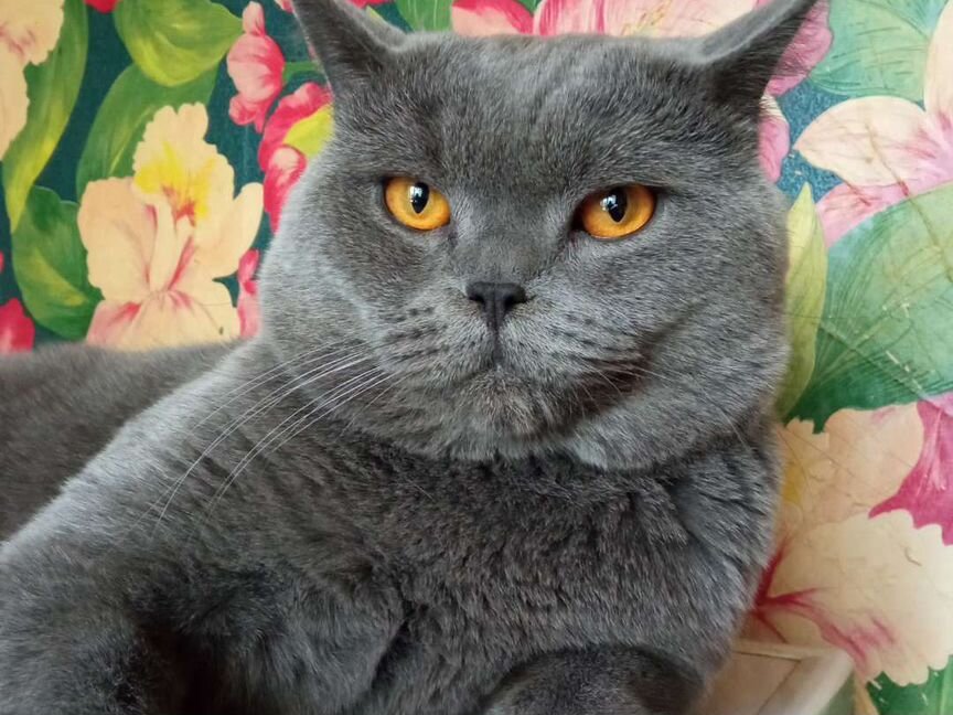 Вязка