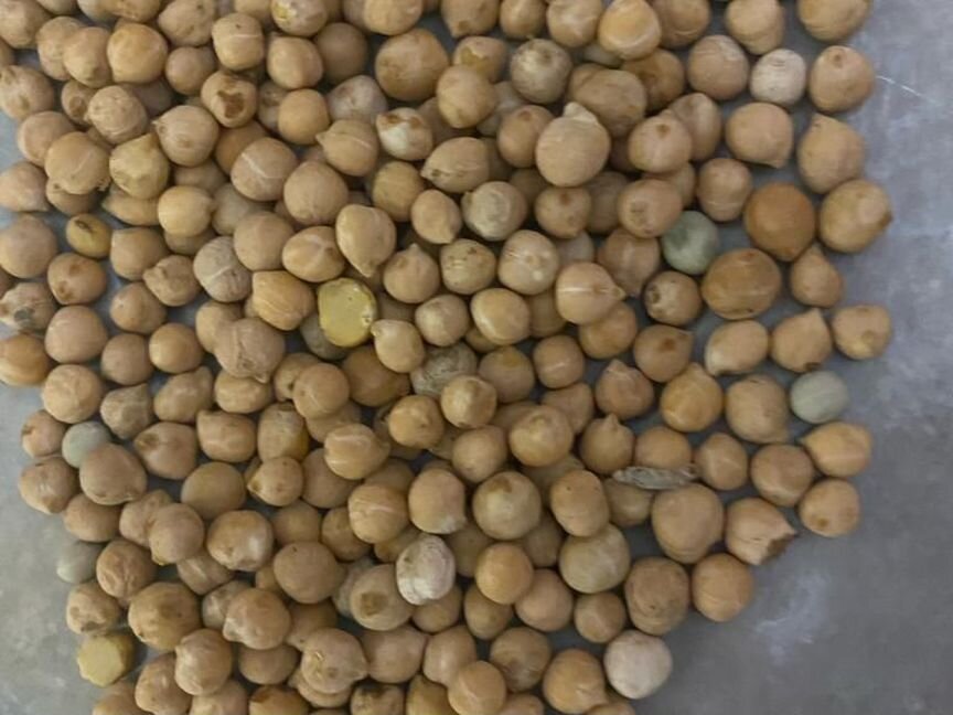 Горох фураж с доставкой