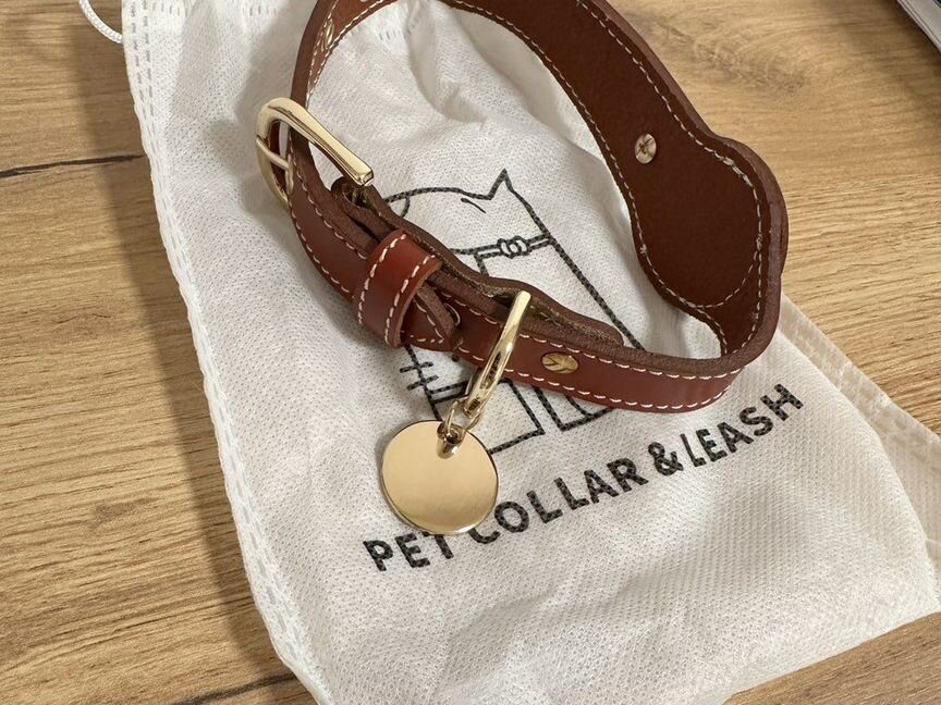 Ошейник для собак