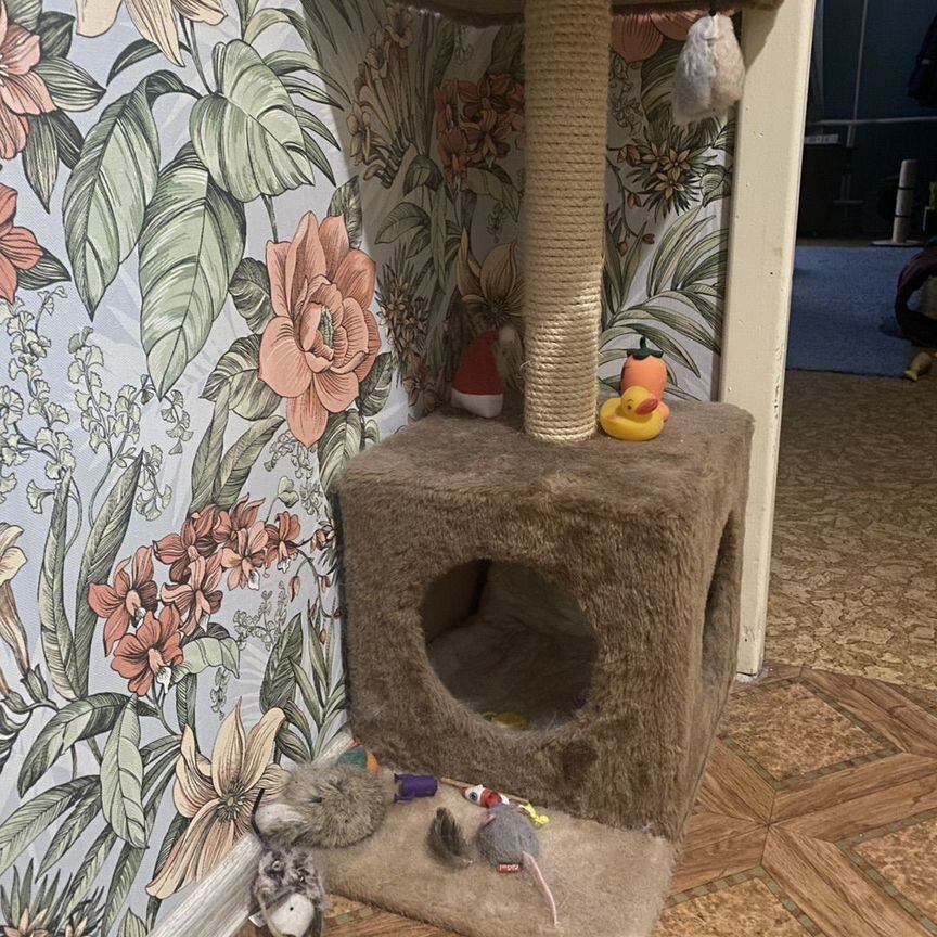 Когтеточка с домиком