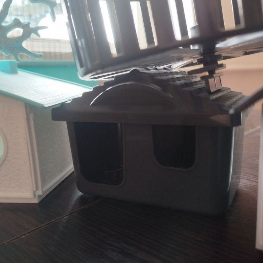 Вещи для грызунов