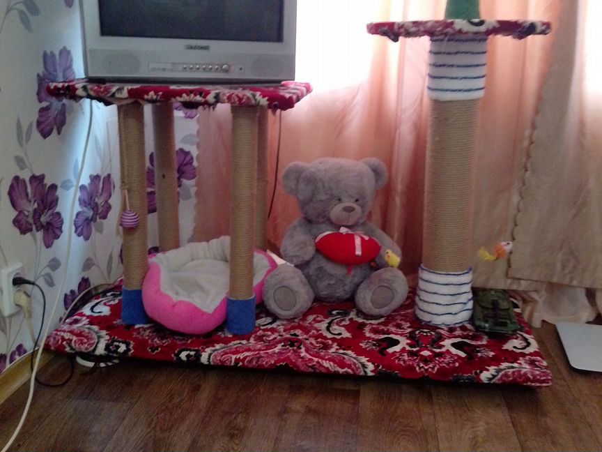 Когтеточка для кошек