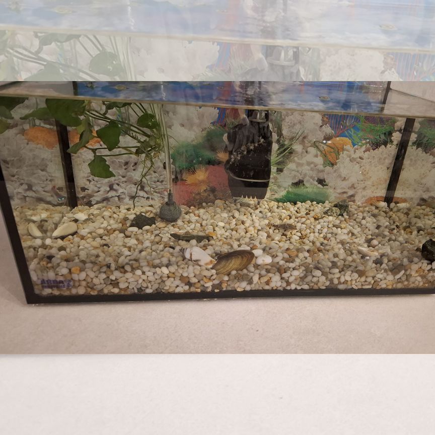 Аквариум бу с рыбками