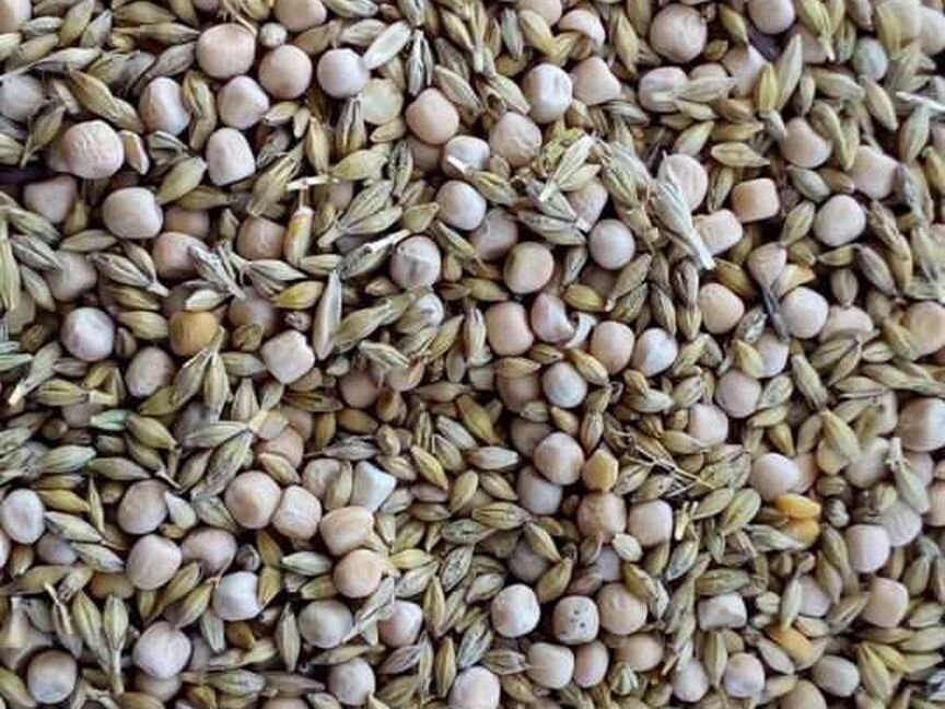 Кормовая смесь