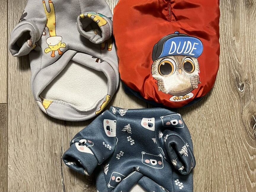 Одежда для собак мелких пород