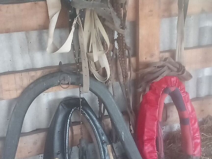 Сбруя для лошади