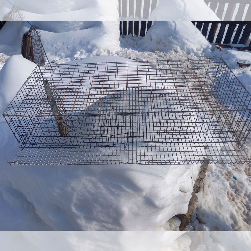 Клетки для перепелов бу