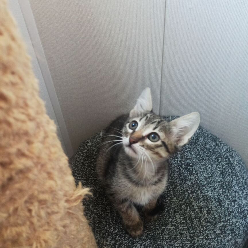 Симона 2месяца