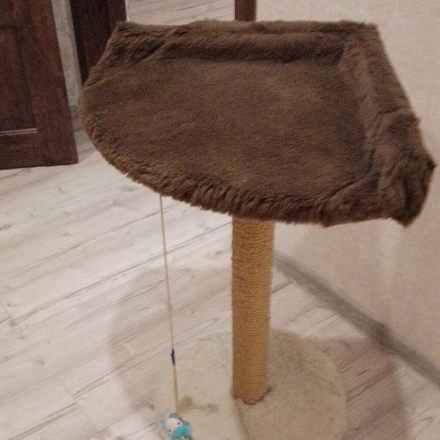 Когтеточка