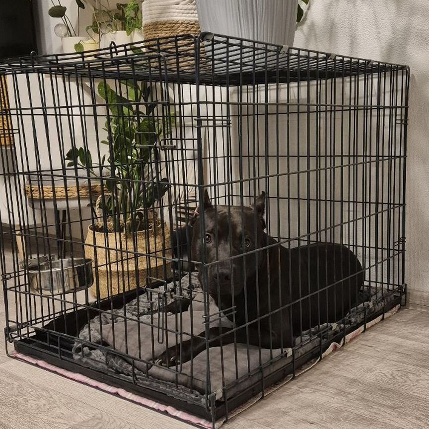 Клетка для собак