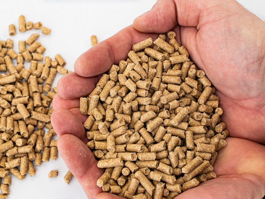 Комбикорм, бвмд, зерносмеси