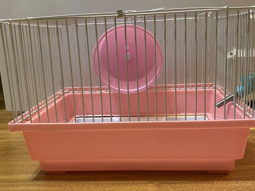 Клетка для джунгарика