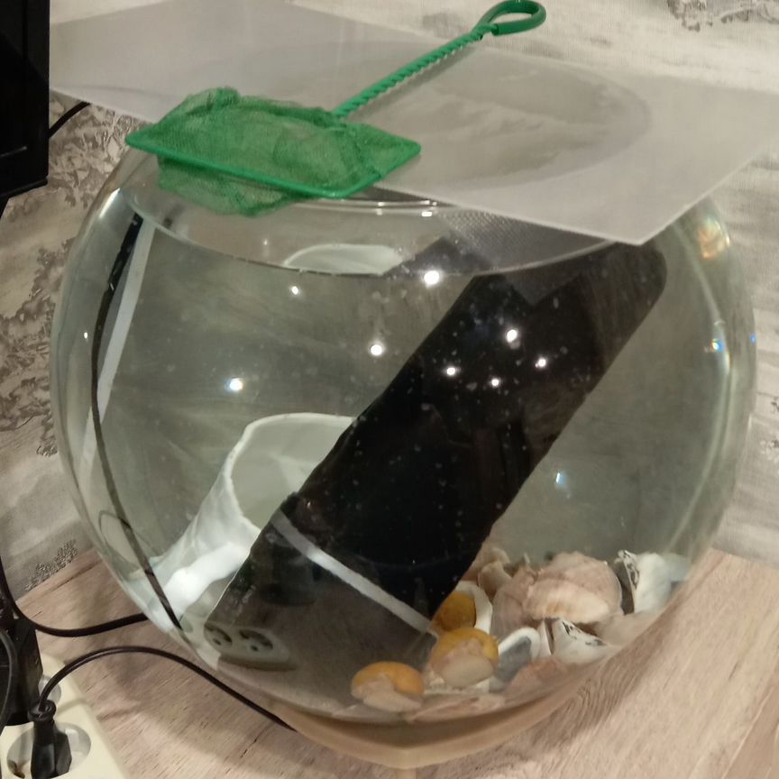 Аквариумные рыбки сомики