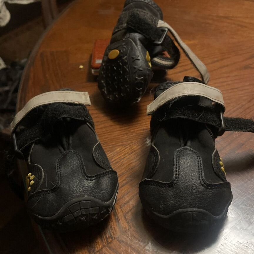 Зимние сапожки для собак