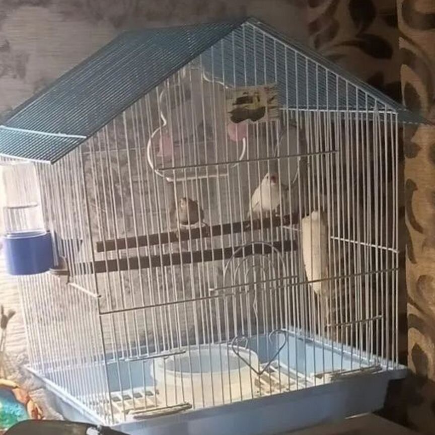 Клетка для попугая