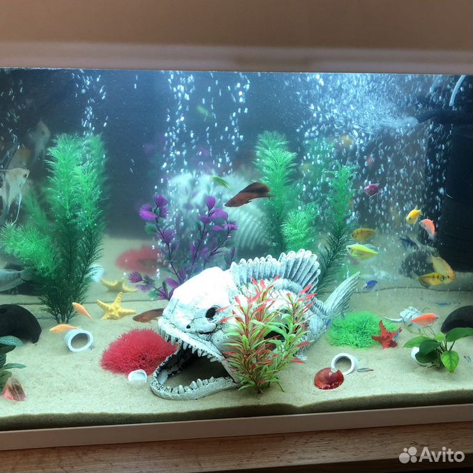 Декорация для аквариума скелет рыбы