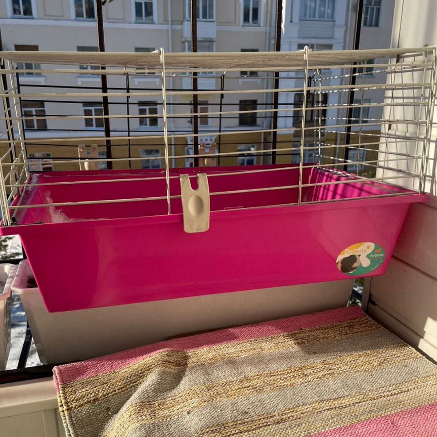 Переноска для декоративного кролика