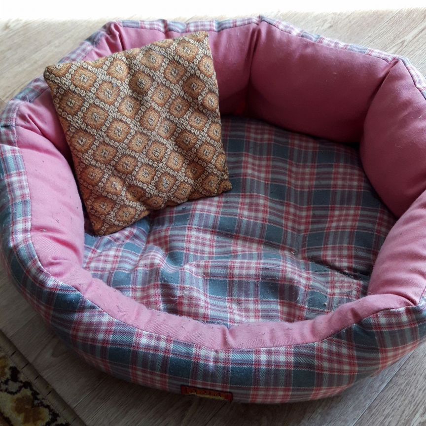 Лежанка для кошек бу