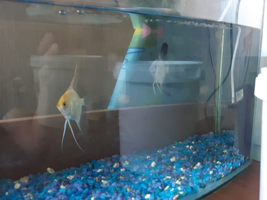 Украшение для аквариума