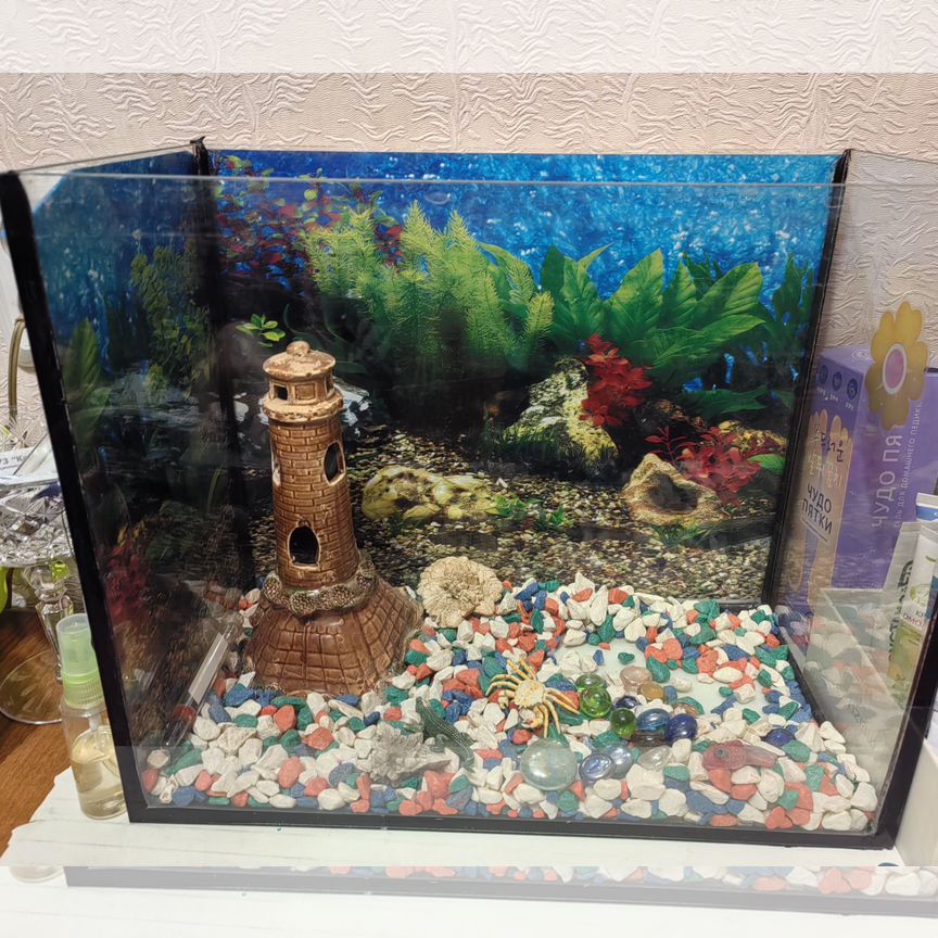 Аквариум