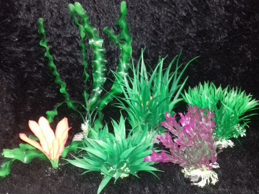 Иск. растения, декор для аквариума