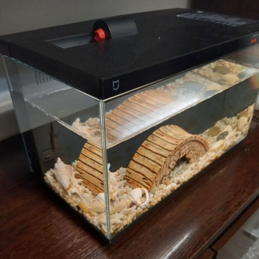 Умный аквариум xiaomi 10