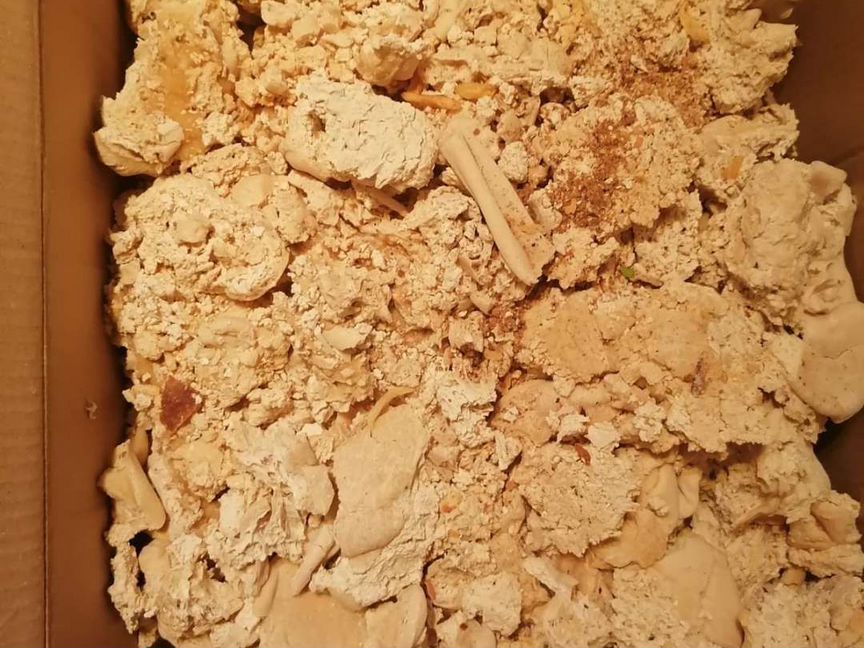 Тесто на корм животным