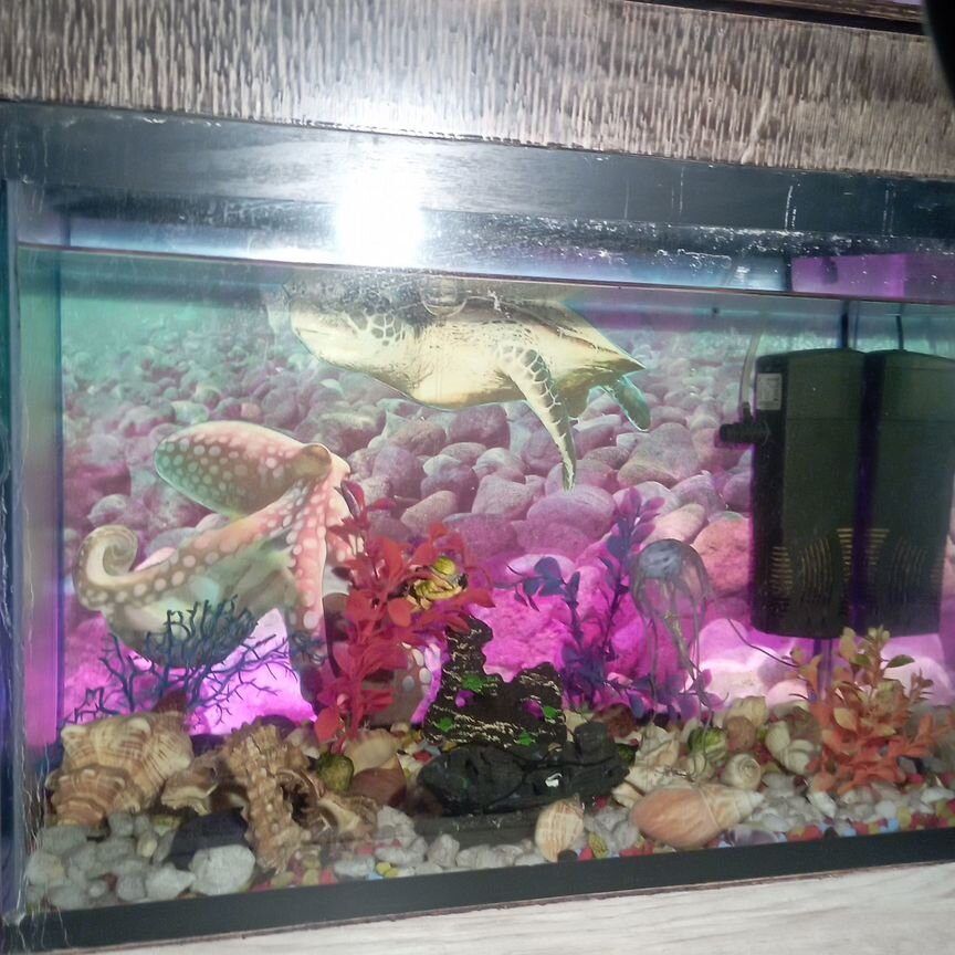 Аквариум