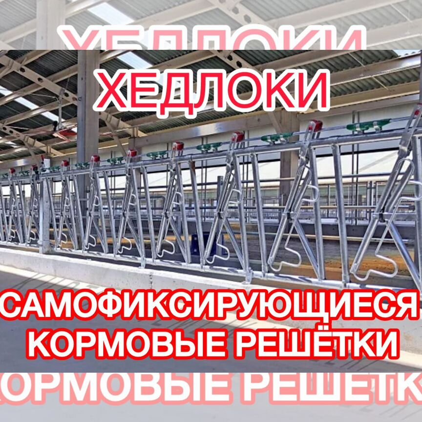 Хэдлоки – кормовые решетки для крс