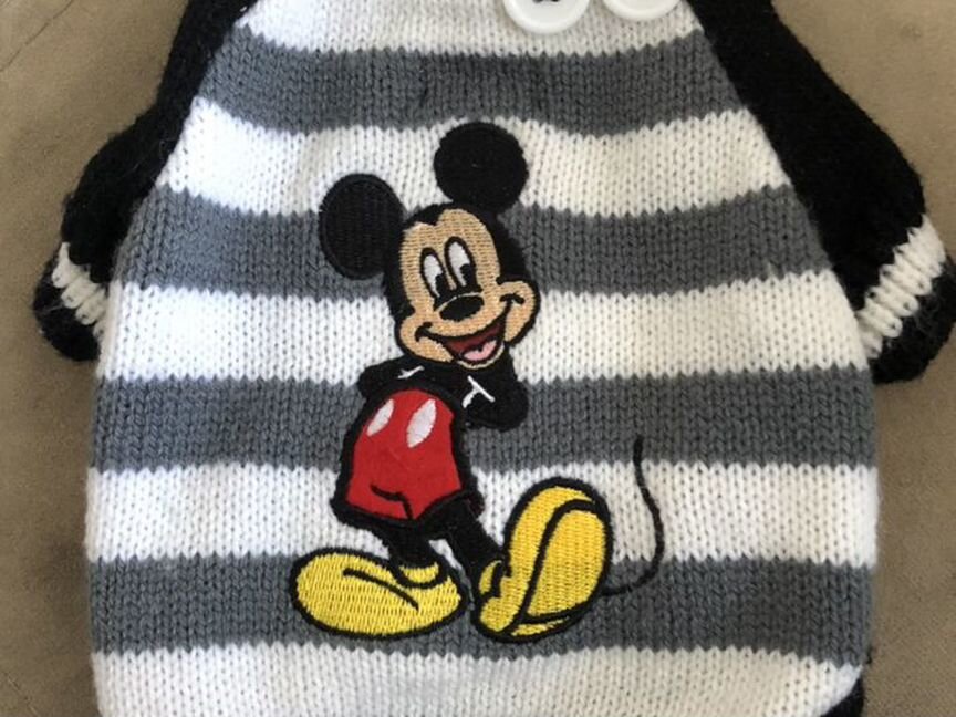 Свитер для маленькой собачки