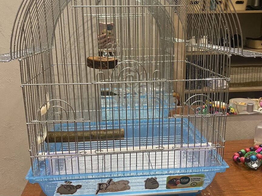Вещи для попугая клетка игрушки оборудование