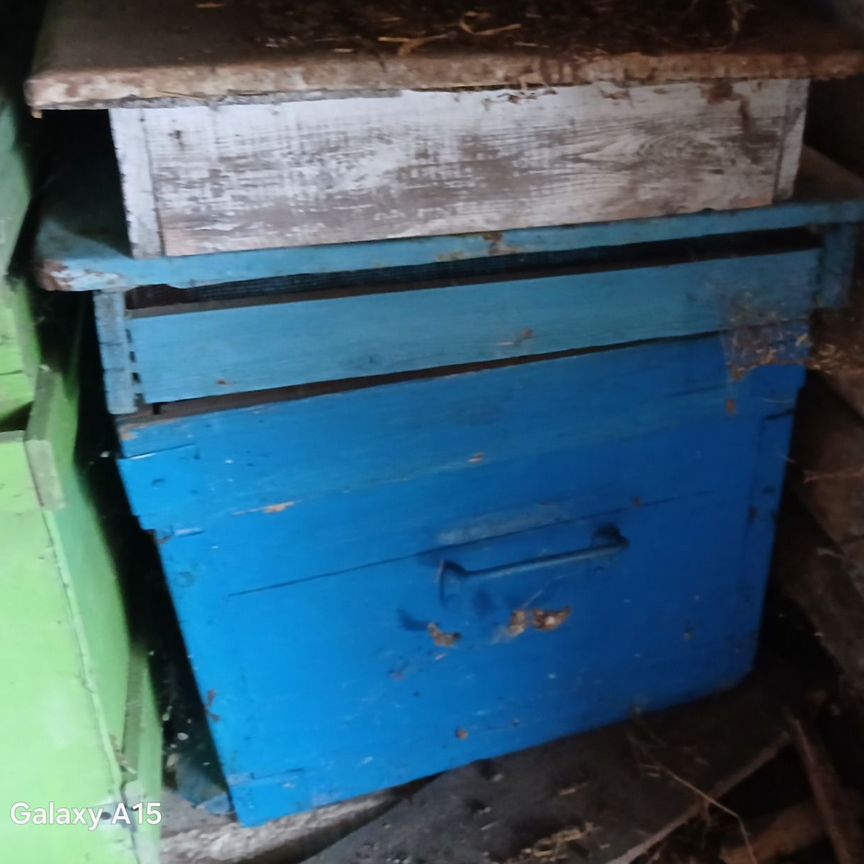 Улей дадан 12 рамок