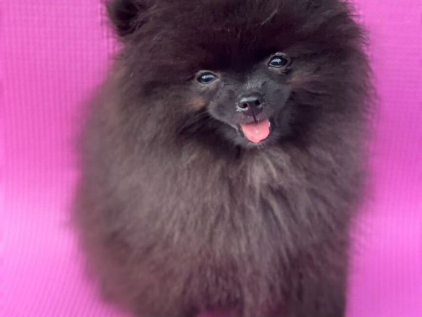 Обаятельный мальчик