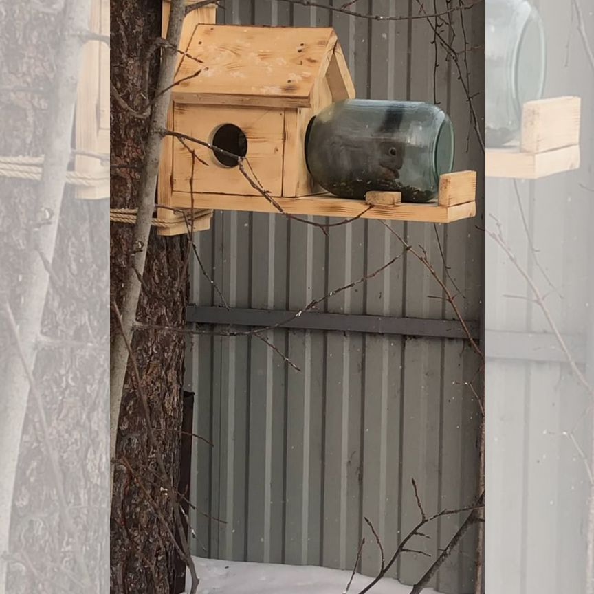 Кормушка