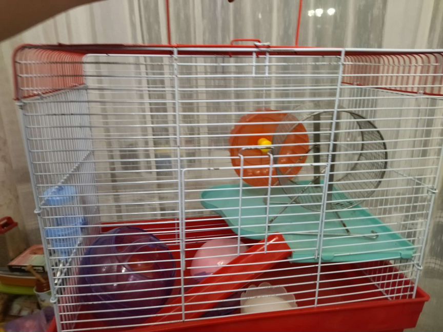 Клетка для грызуна