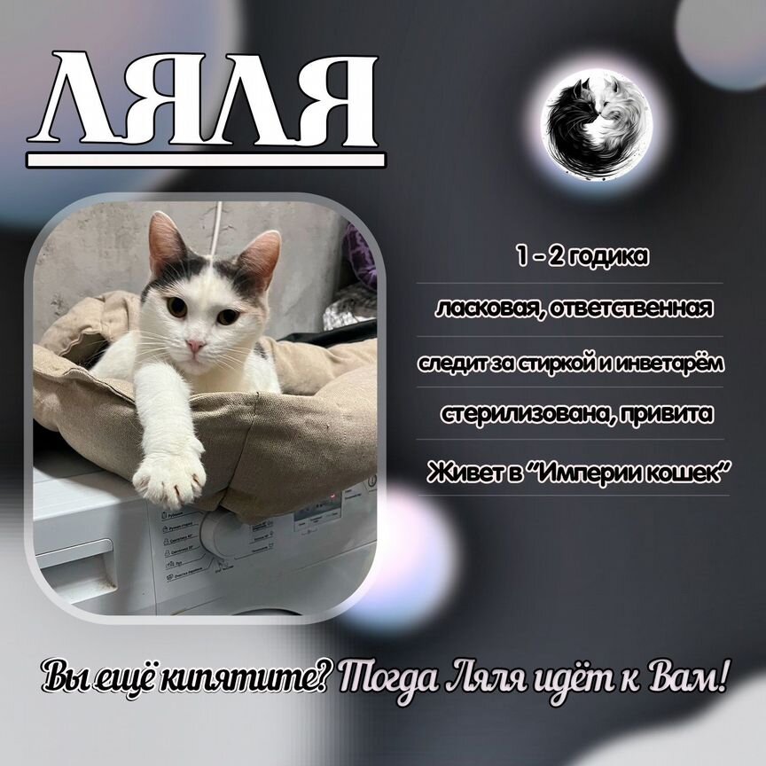 Прекрасная Ляля ищет дом
