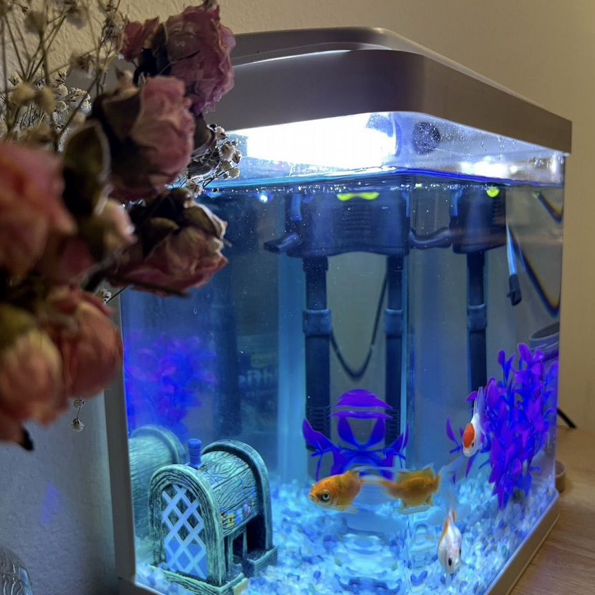 Аквариум для рыбок 10л