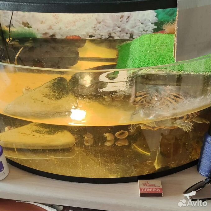 Отдам в хорошие руки