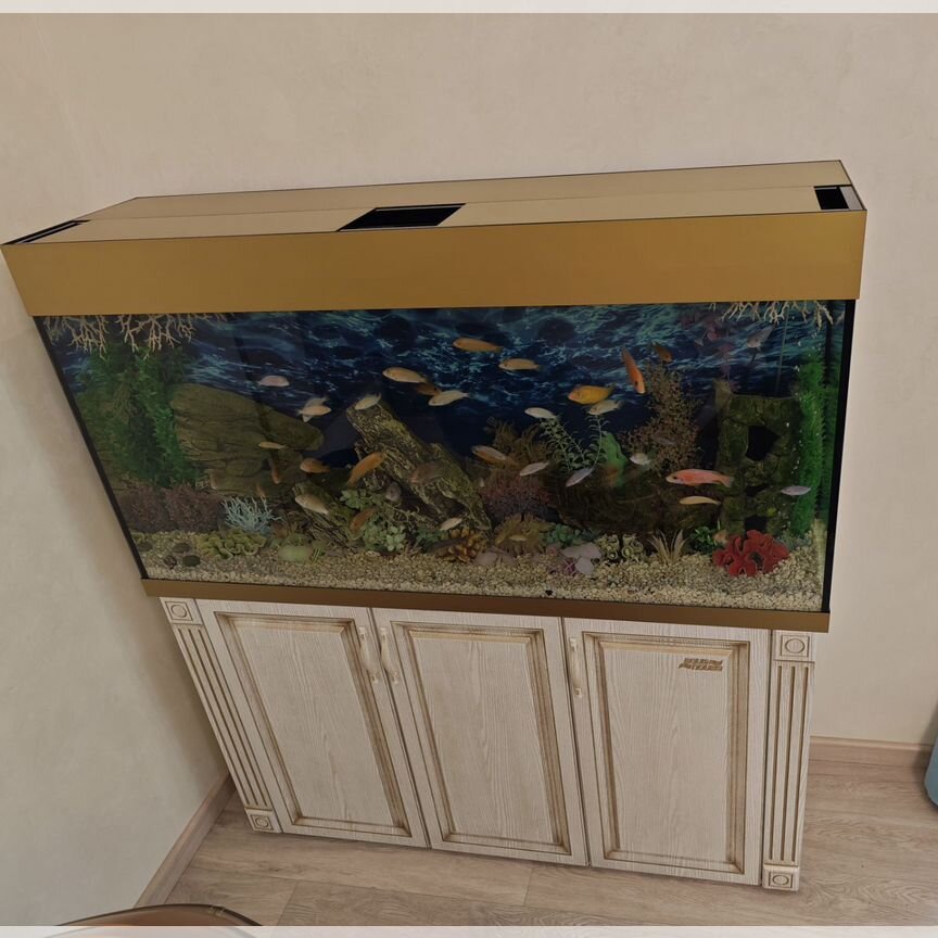Аквариум с тумбой 460 литров