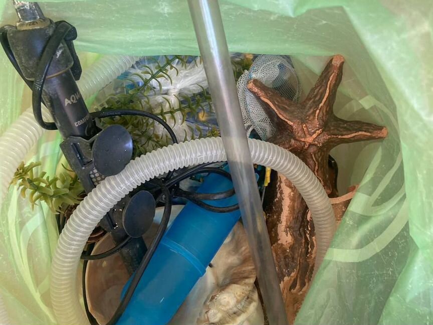 Аксессуары для аквариума