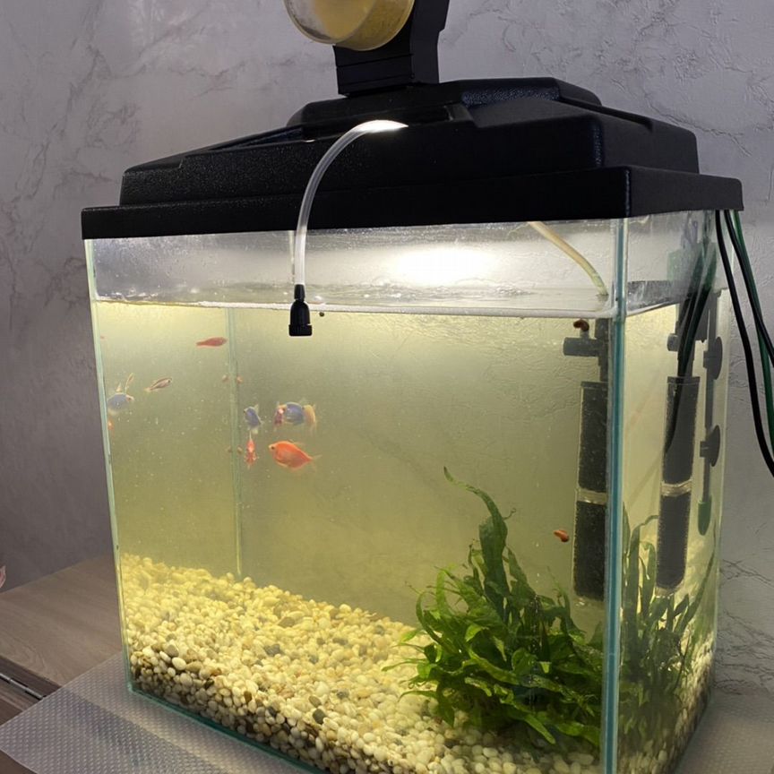 Аквариум 40 литров