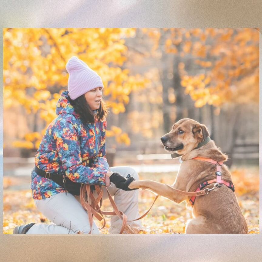 Прекрасный Джек ищет дом