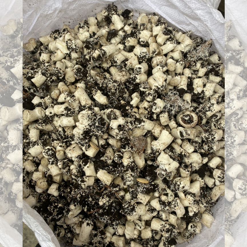 Корм для свиней, кур. Так же удобрение