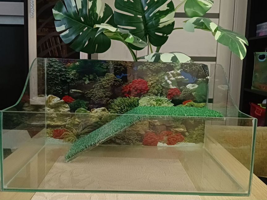 Аквариум для черепахи