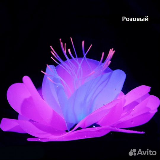 Растения в аквариум светящиеся (флуоресцентные)