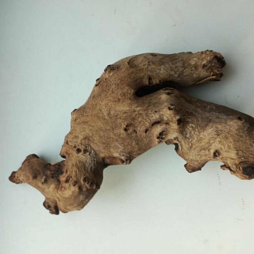 Коряга в аквариум + прополка растений