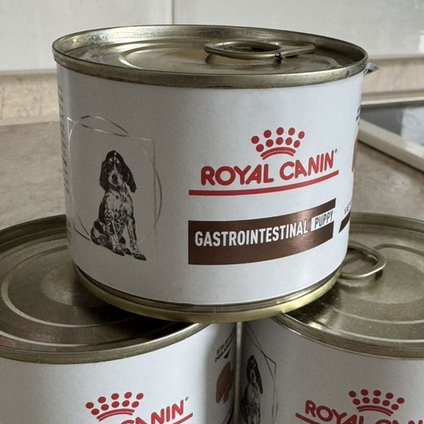 Royal canin gastrointestinal puppy