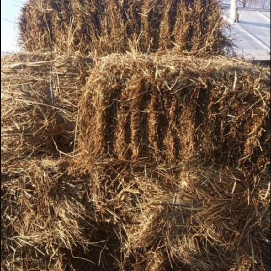 Сено в брикетах