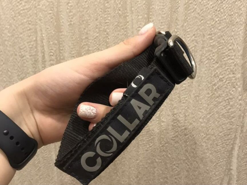 Ошейник для животных